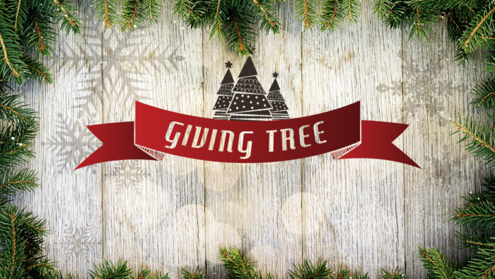 Giving Tree - Grace Bible Church